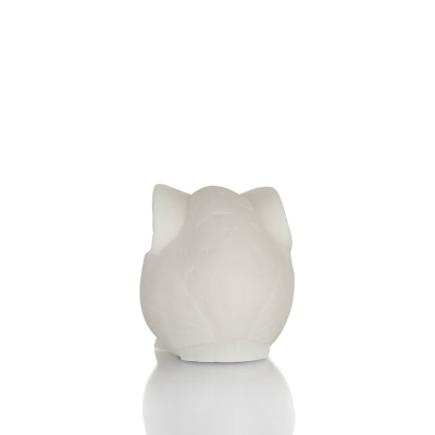 Owl or Glaucus: the sacred bird, symbol of wisdom, prudence, bombes 4.