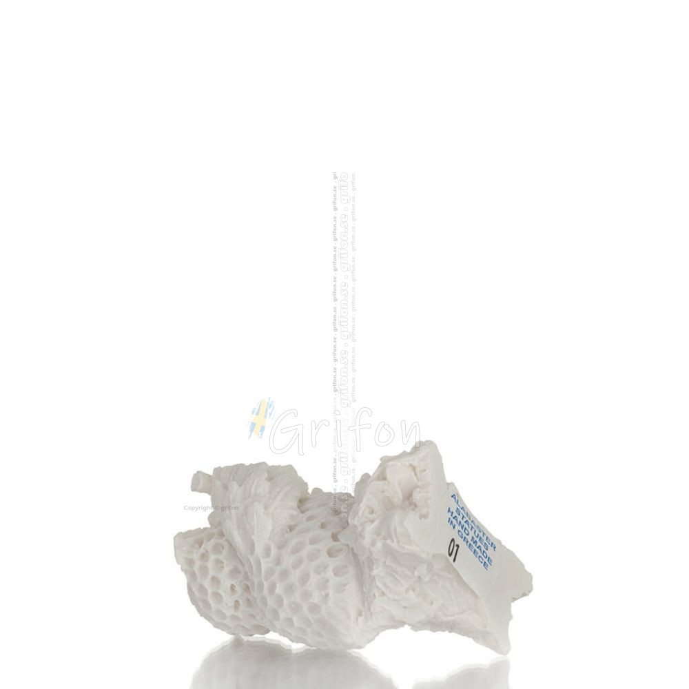 Owl or Glaucus: the sacred bird, symbol of wisdom, prudence, with fier