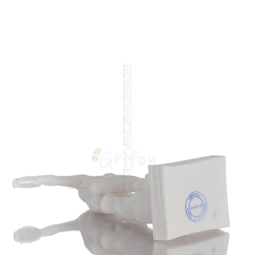 Discus Thrower of Myron: Young Athlete, Symbol of the Olympic Games 22